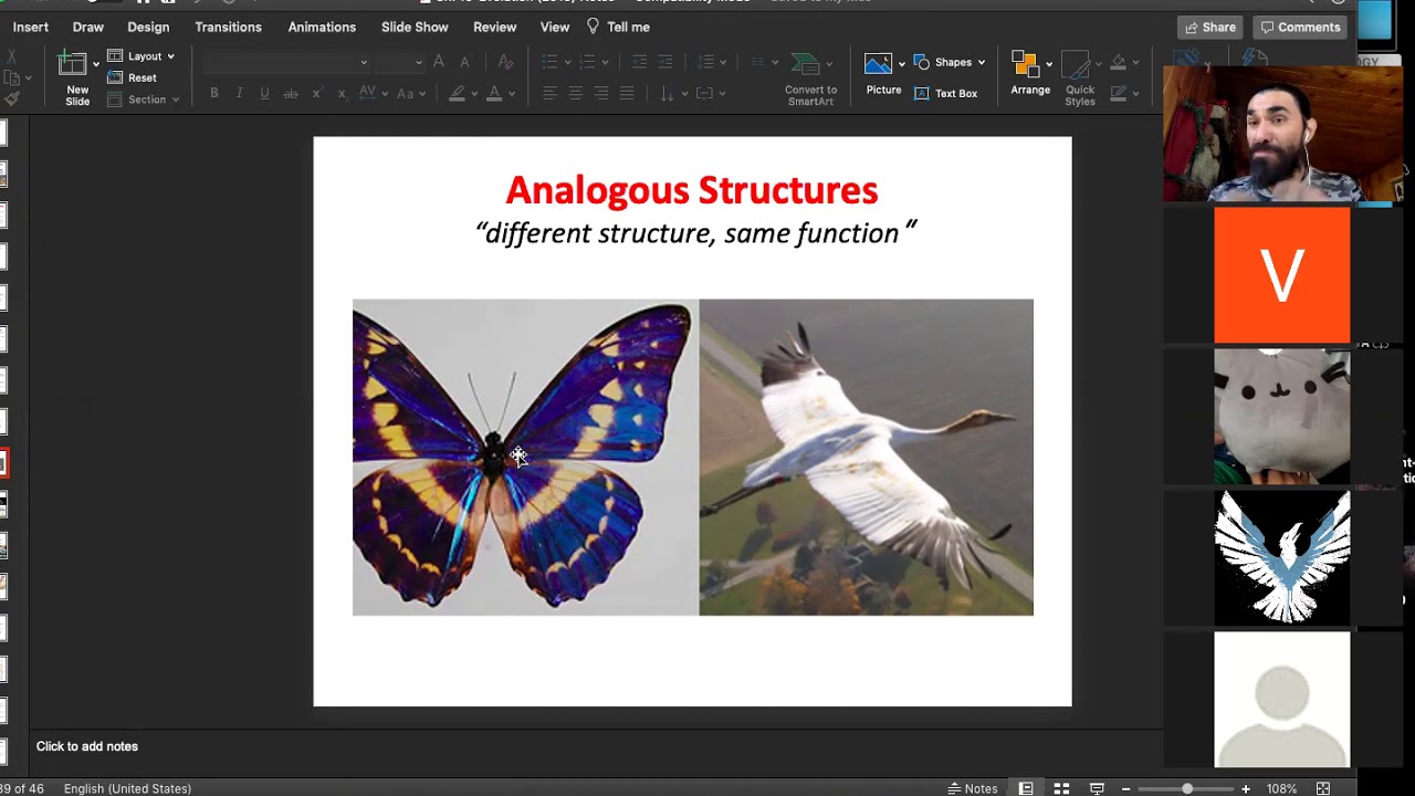 Honors Biology Zoom Class on 5:20:2020 - YouTube