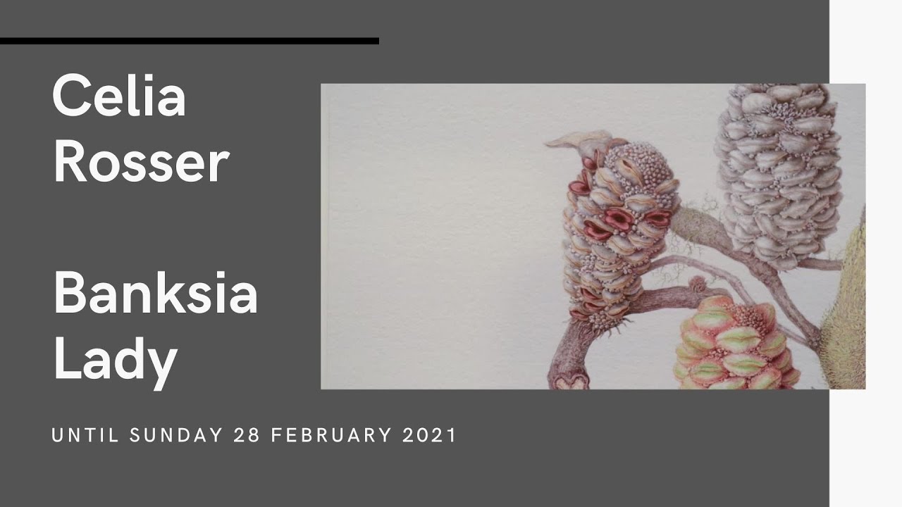 Exhibition Preview - Celia Rosser Banksia Lady - YouTube