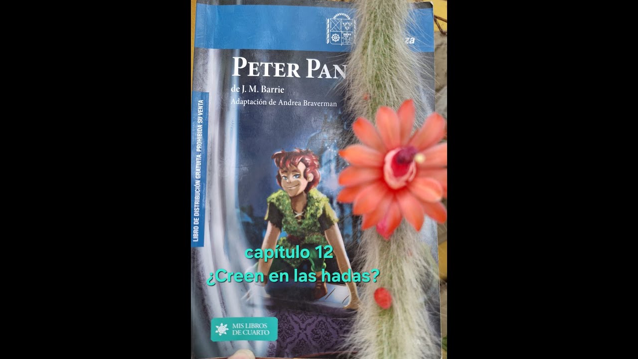 Peter Pan Capítulo 12 "¿Creen en las hadas?" - YouTube