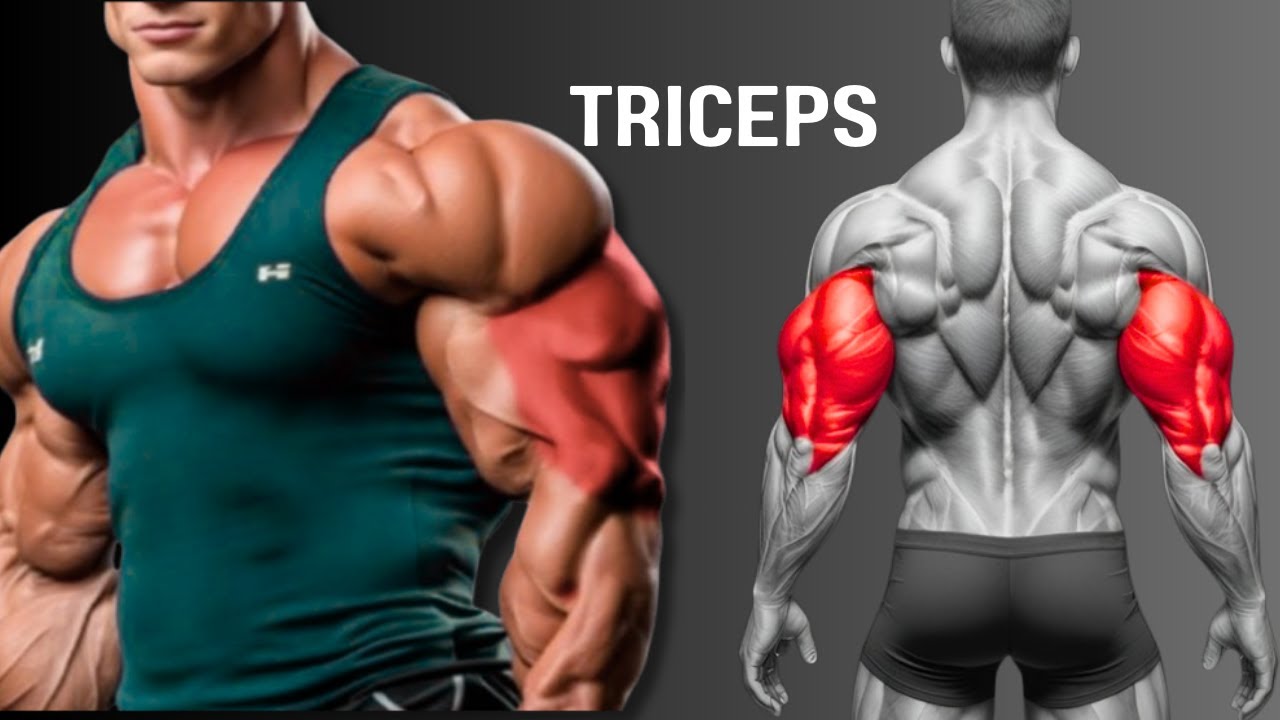 I Tried These 6 BIG Triceps Exercises for 30 Days and Got RIPPED - YouTube