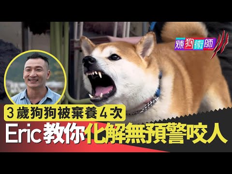 屈臣氏 Wats Petmacy 寵物藥妝呈獻：煉狗術師III｜3歲狗狗被棄養4次 Eric教你化解無預警咬人｜Eric Ko｜鄺芷凡｜第1集 ...