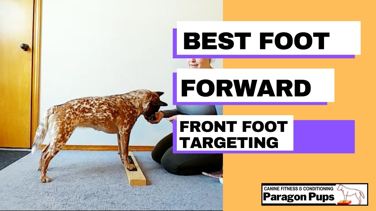 Best Foot Forward: Front Foot Target - YouTube
