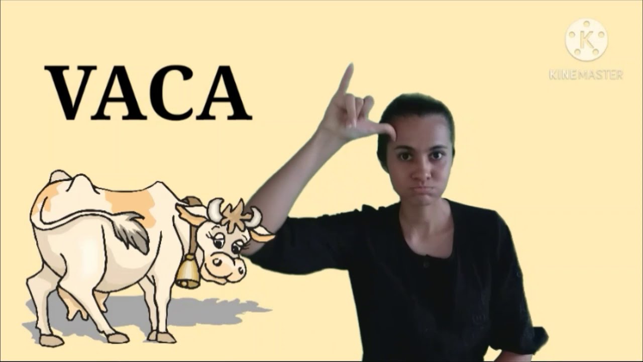 VACA-Sinal em LIBRAS - YouTube