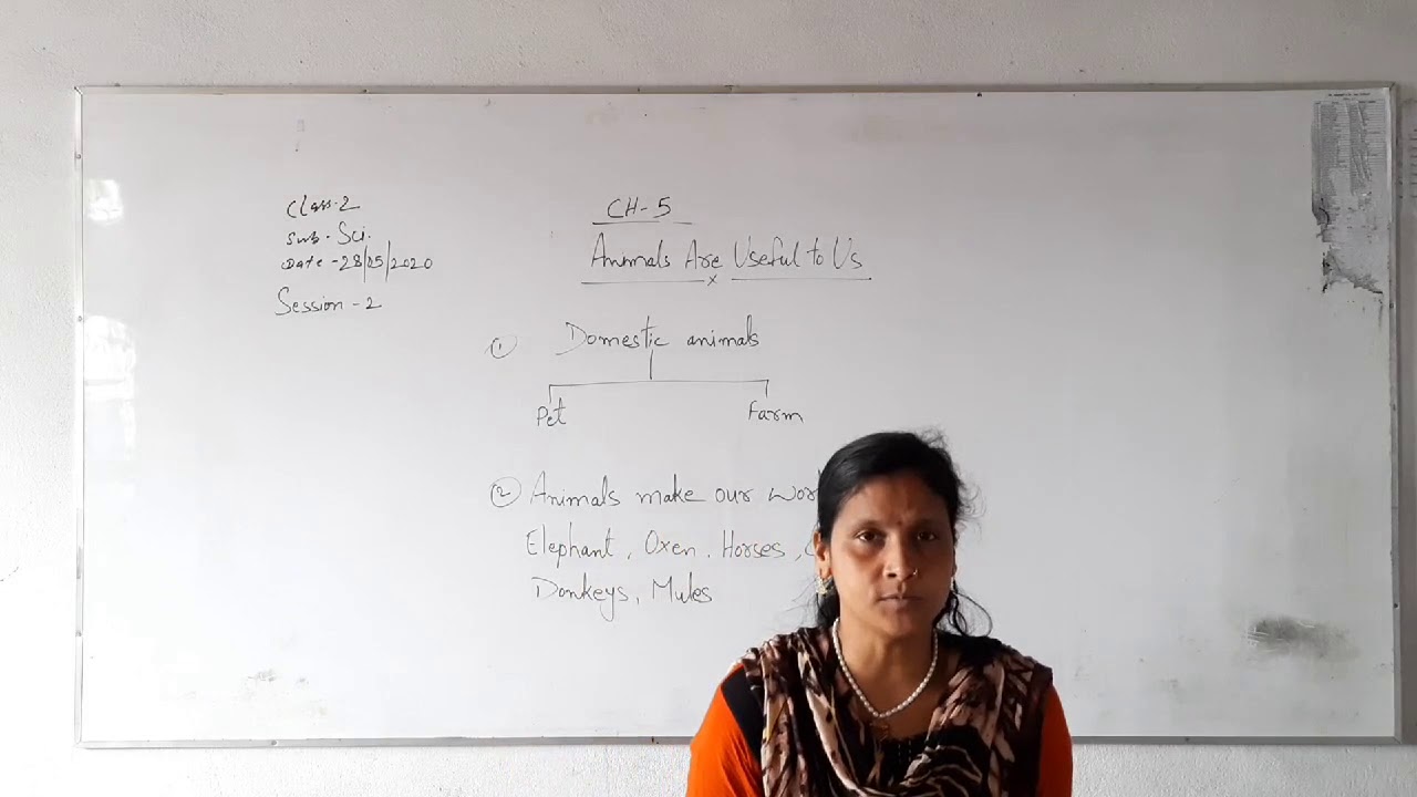 Std. II, Science - YouTube