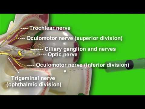 Geometrical Method Applied to an Orbital Block - YouTube
