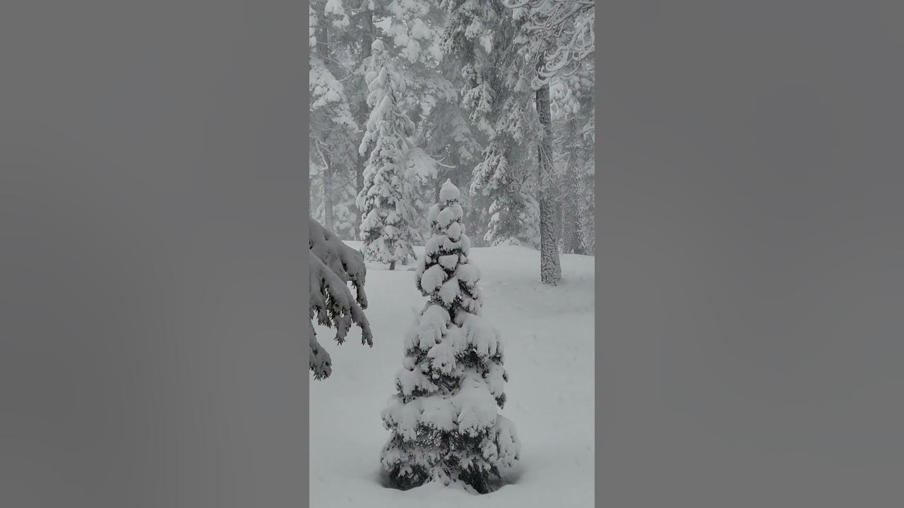 truckee-snowstorm-5-jan-2023-youtube