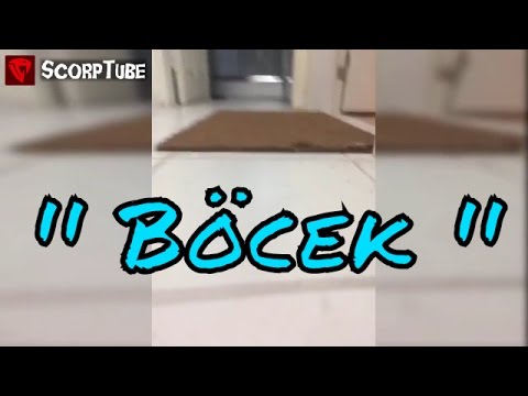 Scorp - Böceğe Dönüşsen Ne Yapardın ?