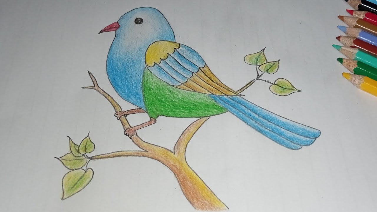 Bird drawing easy for beginners - YouTube