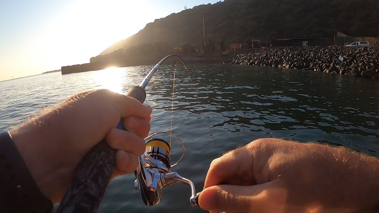 This place is FULL of FISH !! Durban Harbour Fishing with Light Tackle ...