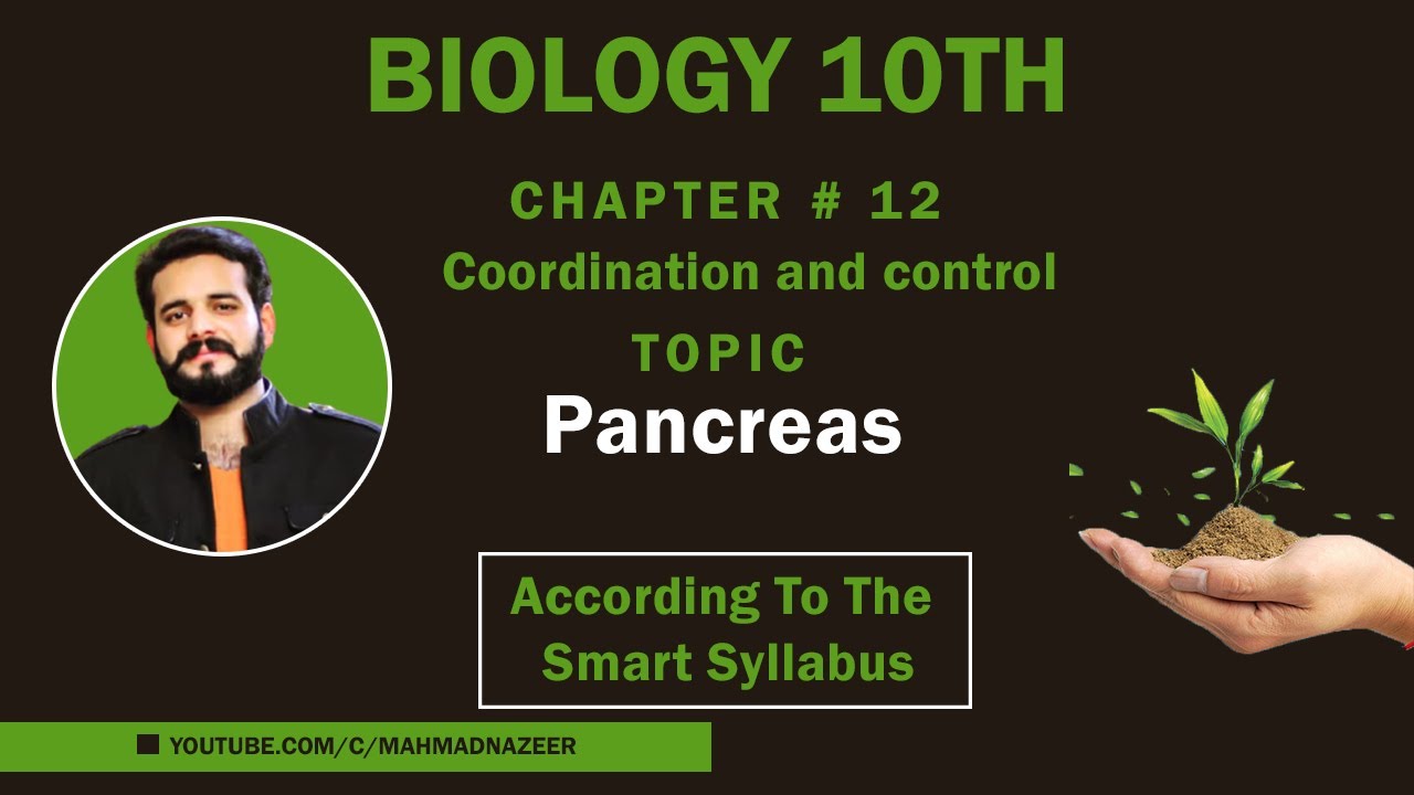 Pancreas Ch#10 Lec_12, 10th class Biology #smartsyllabus @MAhmad Nazeer ...