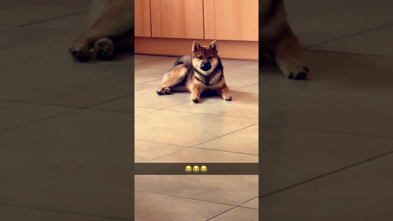 Joko ! Hey ! Tu fais quoi ? - YouTube