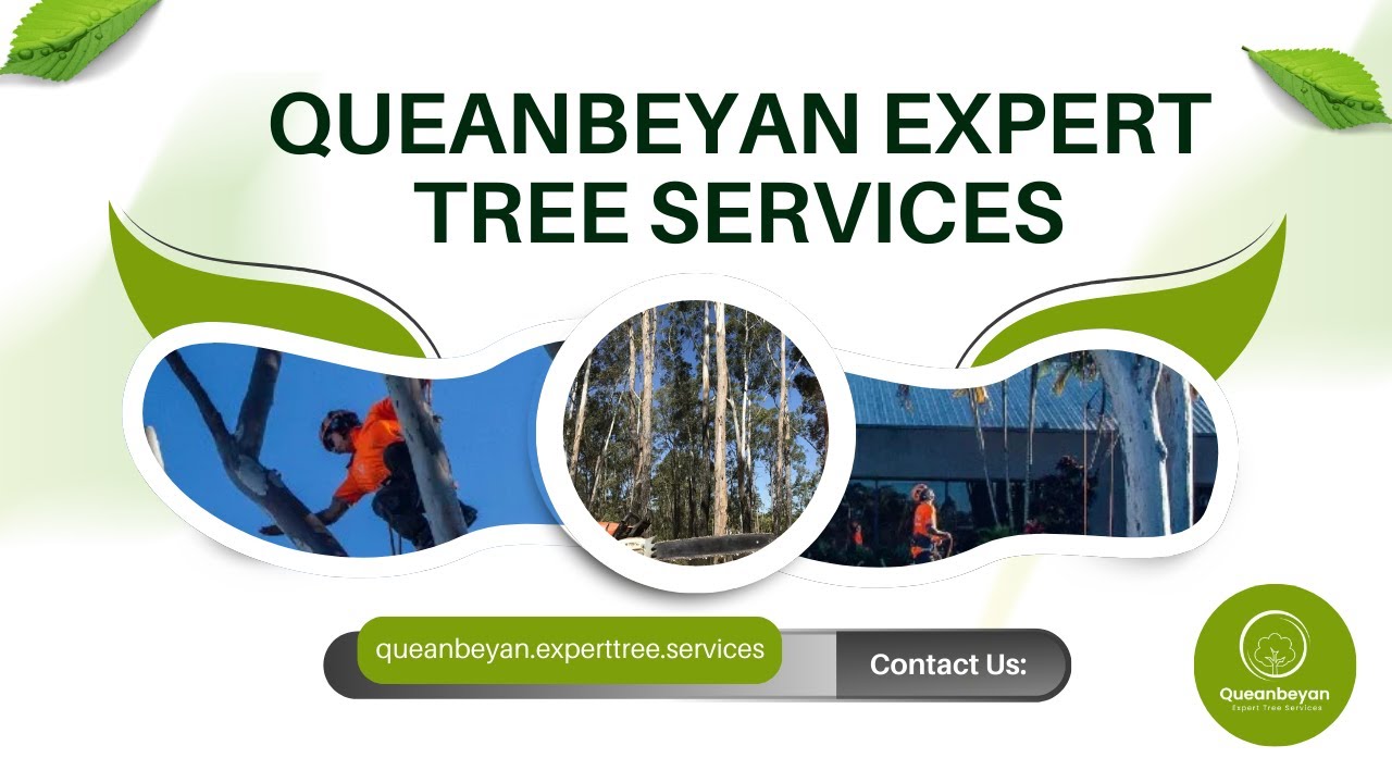 Queanbeyan Expert Tree Services - Tree Removal Queanbeyan Queanbeyan ...