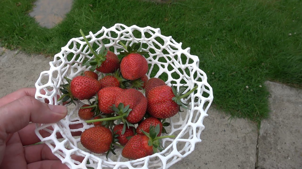 Showing off the Strawberries and spider mite signs. - YouTube