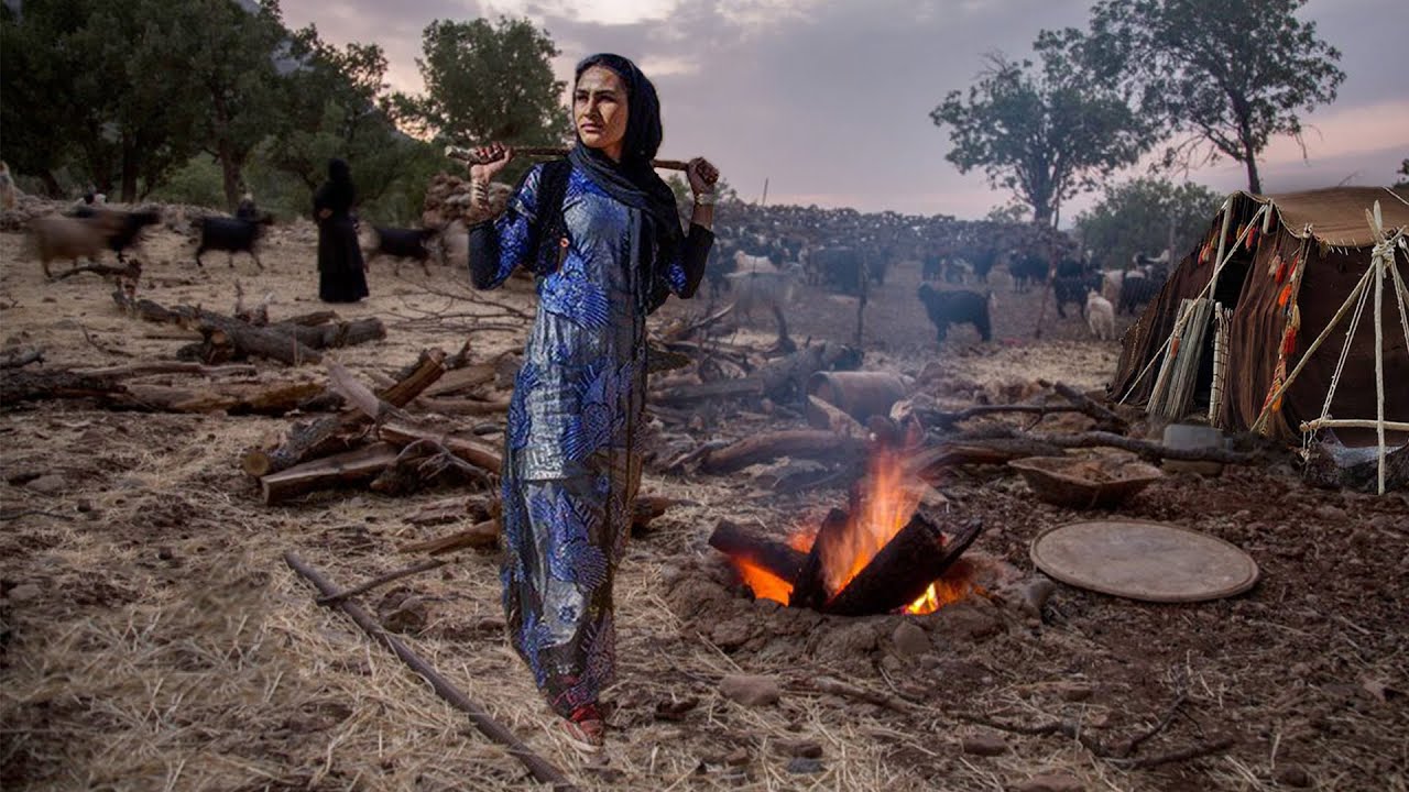 IRAN nomadic lifestyle - nomads routine life - daily nomadic life in ...