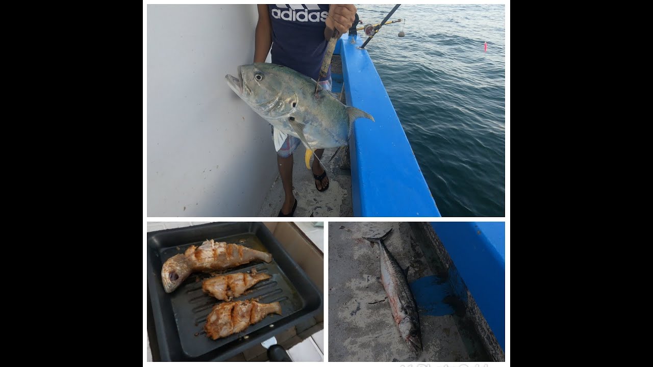 Slow Trolling for King Mackerel and Jack Crevalle ! Catch Clean and ...