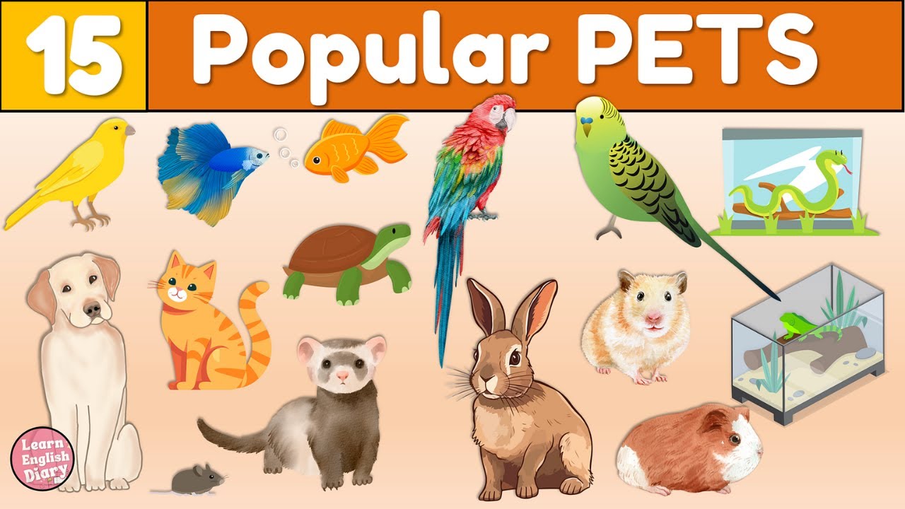 15 Pet Animals in English 🐈 Pets Vocabulary for Kids | ESL Lesson with ...