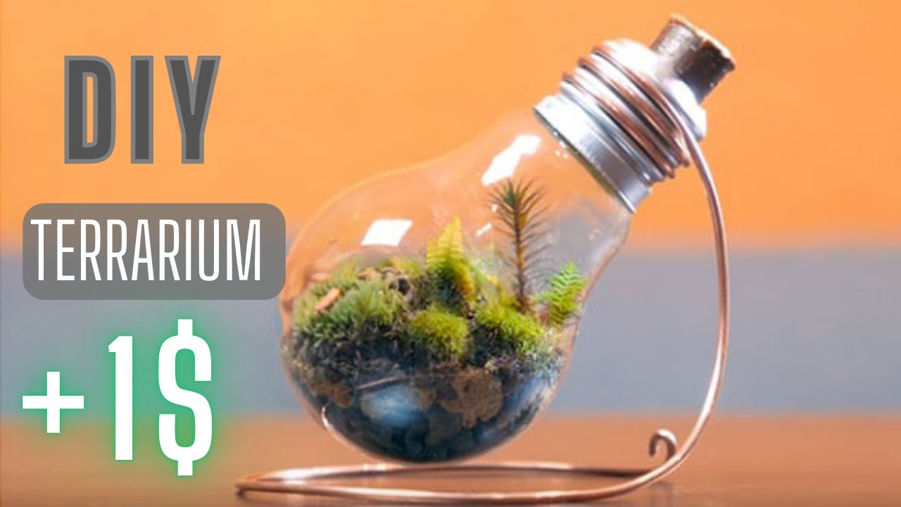 $1 Terrarium Ecosystem! DIY How To Make? - YouTube