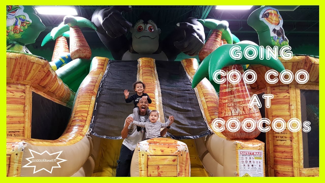 Going COO COO at COOCOOs - YouTube