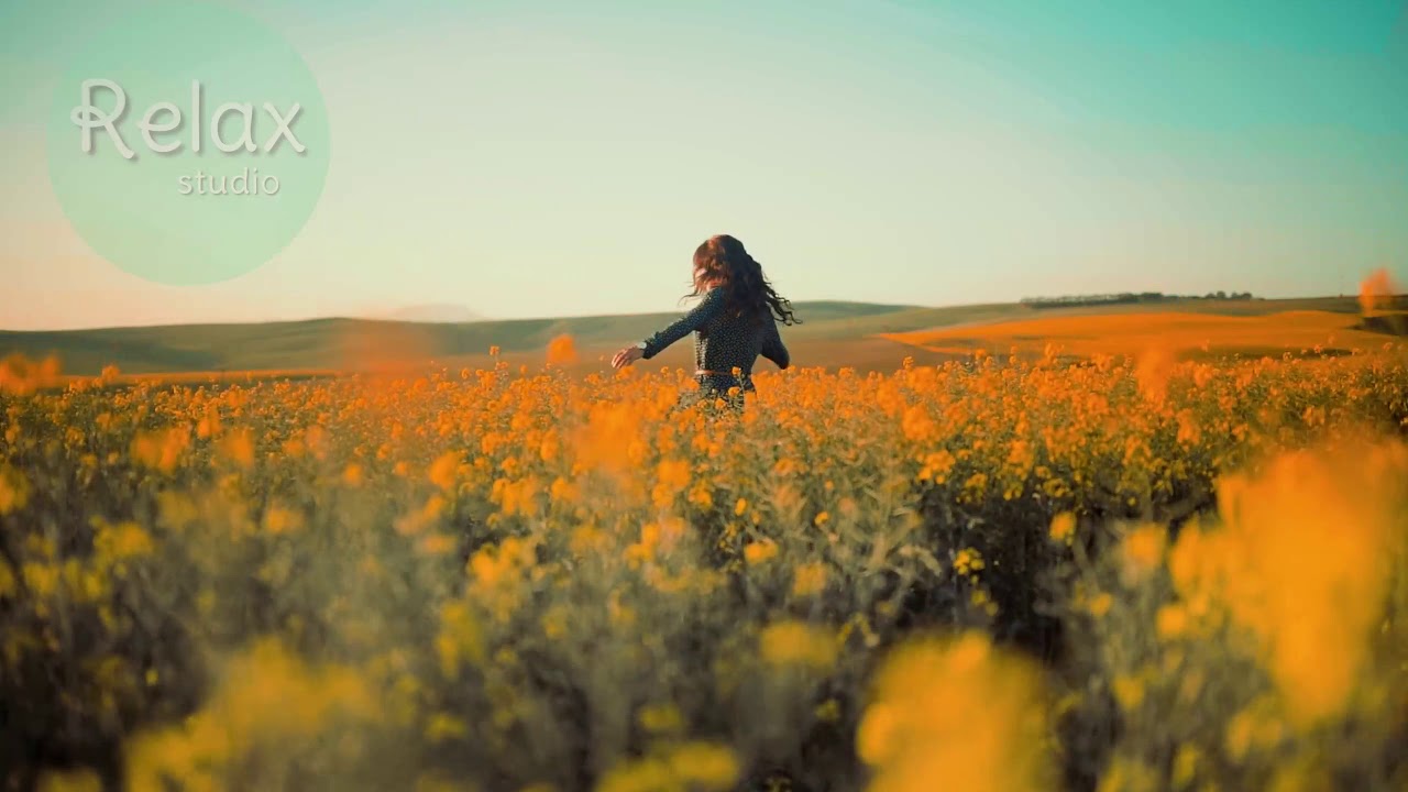 Relaxing zen music and sounds for sleeping. - YouTube