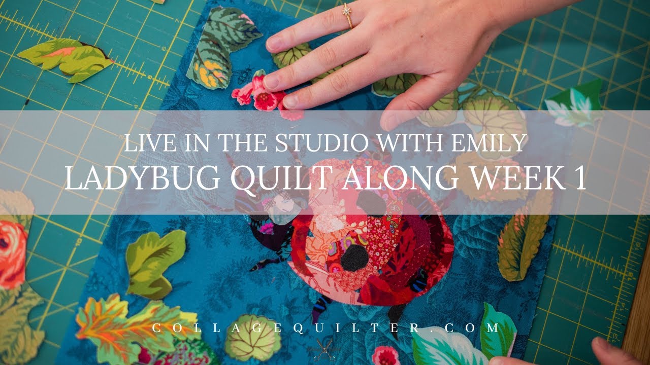 Ladybug Quilt Along Week 1 - YouTube