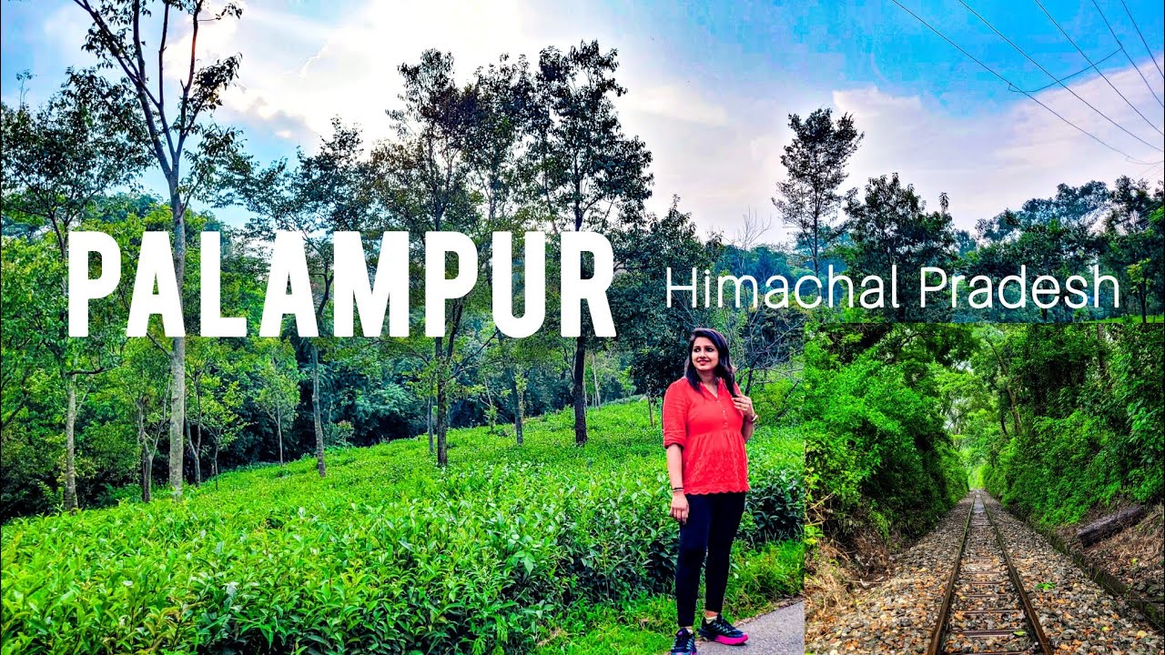 Palampur Himachal Pradesh | Palampur Tourist places | Palampur Travel ...