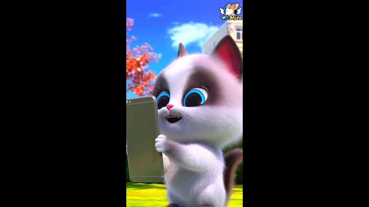 MOCO and YUMMY🐶 | A Brilliant Picture 絕世佳作 | Flying MOCO Shorts 爆笑飛狗 ...