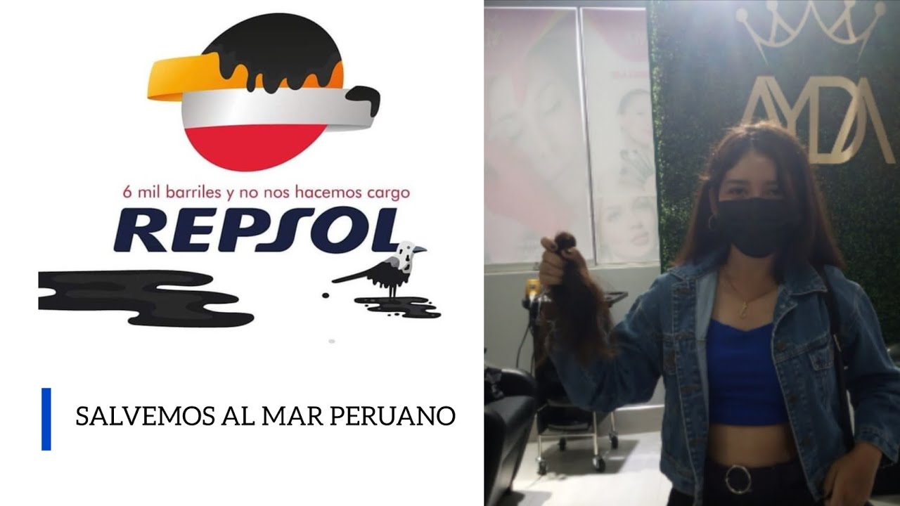 Caso Repsol | Cabello humano como herramienta para mitigar el daño del ...