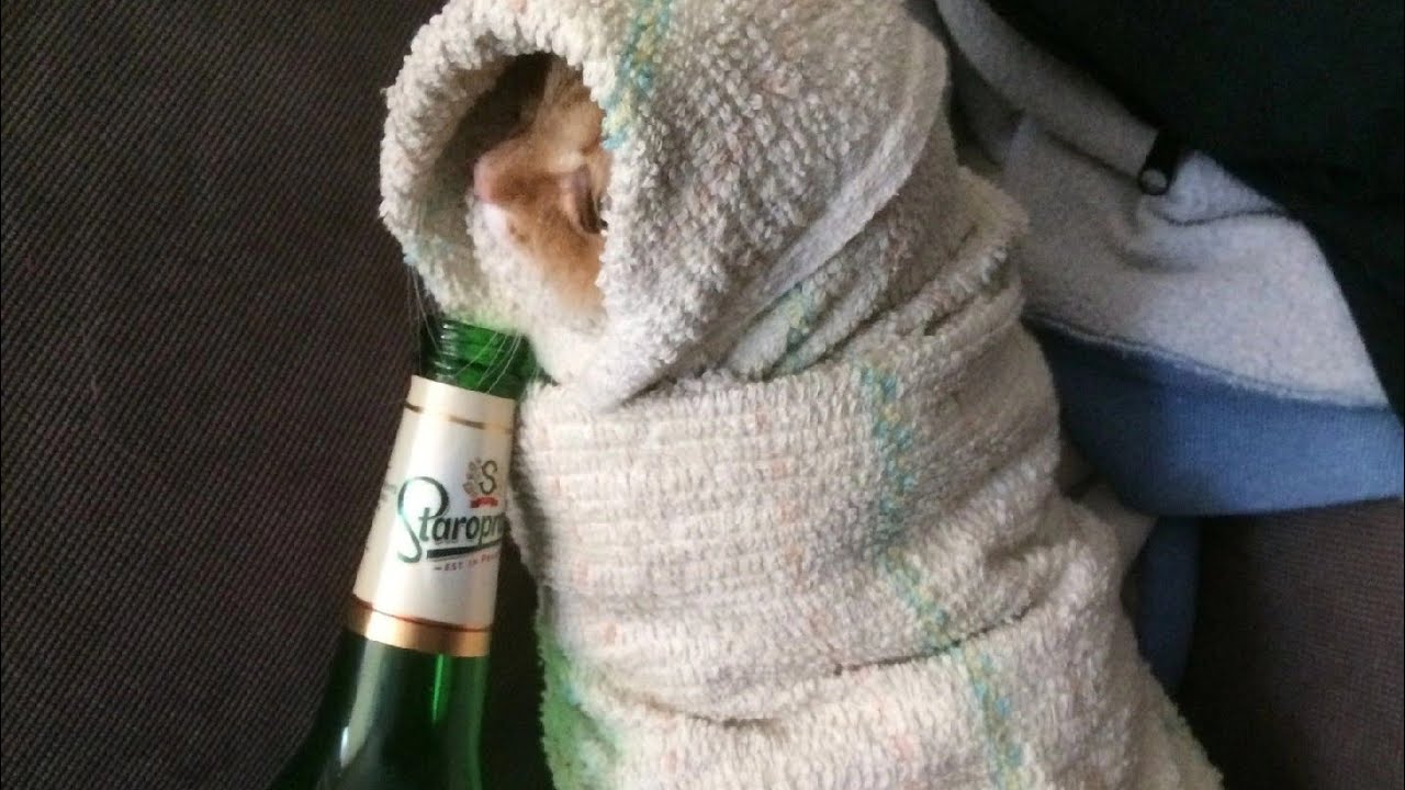 Mili - RTRT 1.1x np - YouTube