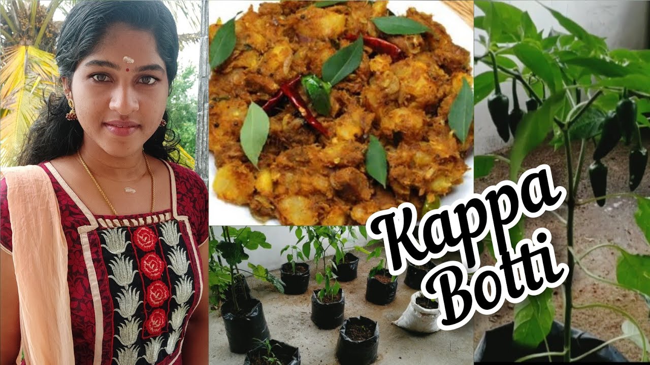 നല്ല മഴയും കൊള്ളീം ബോട്ടീം |kappa botti |kolli botti - YouTube