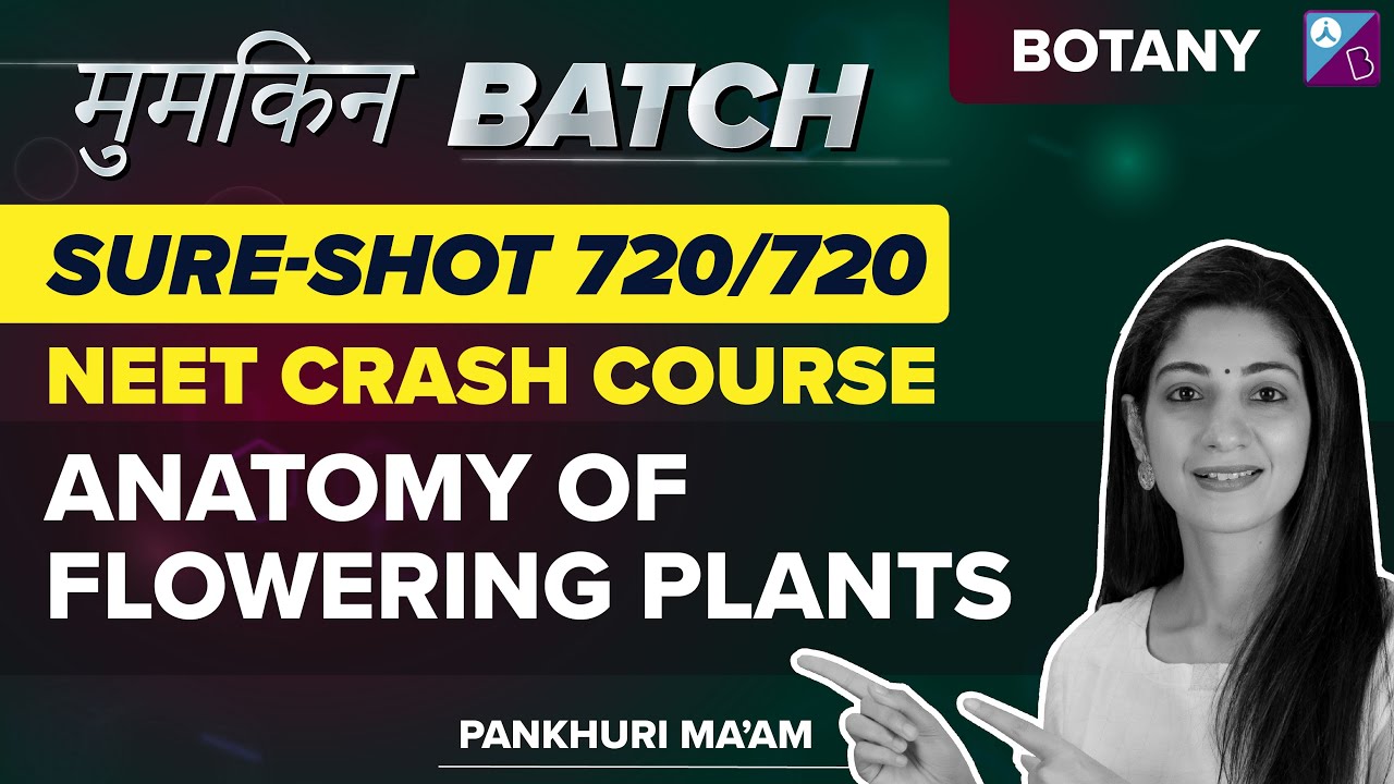 NEET 2023 - Anatomy of flowering plants | L1 | Crash Course | NEET ...