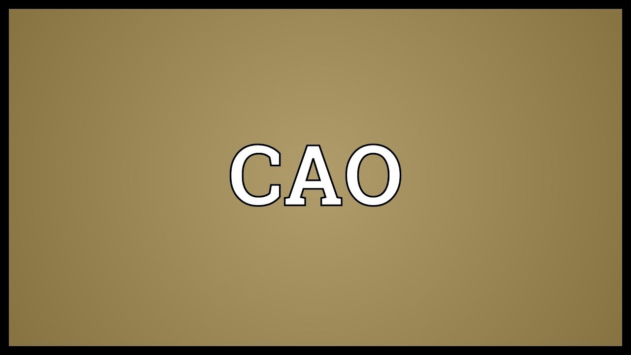CAO Meaning - YouTube