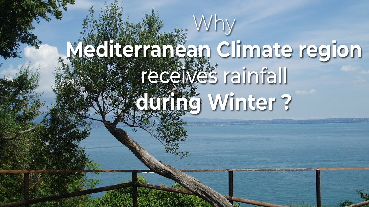 Mediterranean Climate Winter