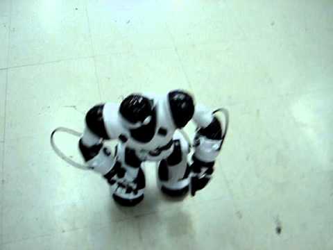 Robot Wisdom en www.Comprasin.com - YouTube