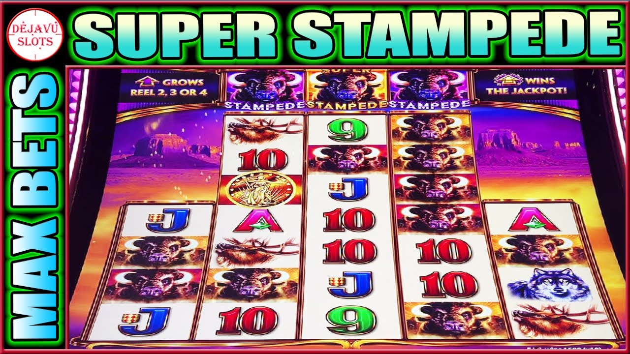 SUPER STAMPEDE FEATURE MAX BET! BUFFALO ASCENSION SLOT MACHINE - YouTube