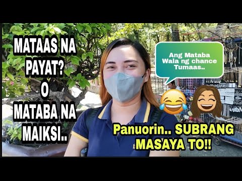 MATAAS NA PAYAT? O MATABA NA MAIKSI | TAAS NGA NIWANG? O TAMBOK NA MUBO ...