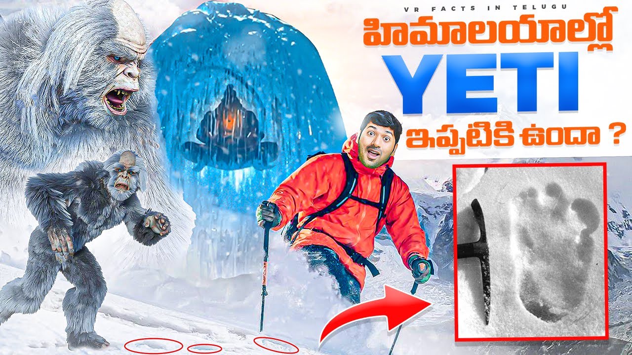 Yeti Really Exists In Himalayas ? | Telugu Facts | Facts | V R Raja ...