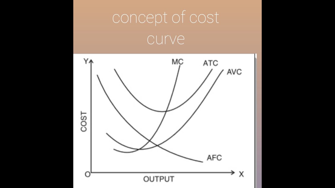 Class 12 explanation about the cost curve - YouTube