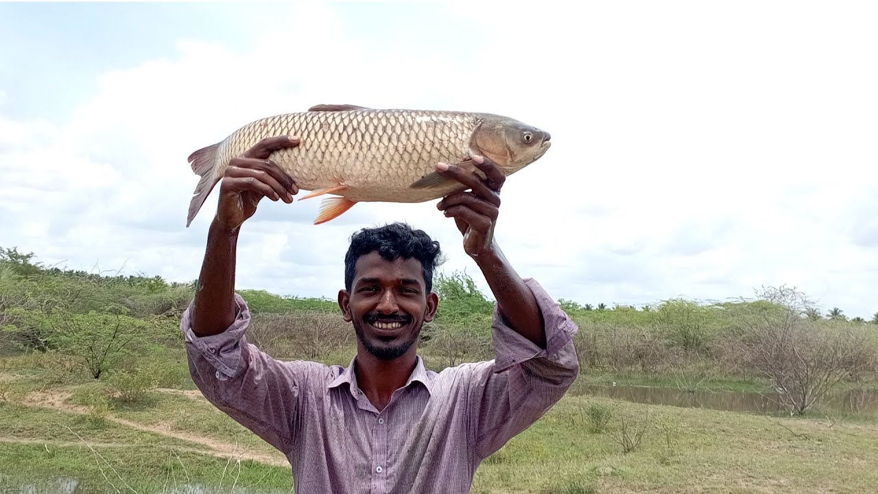 Fishing In Tamil | Kendai Meen Catching Part 2 | Two kendai Fish Escape ...