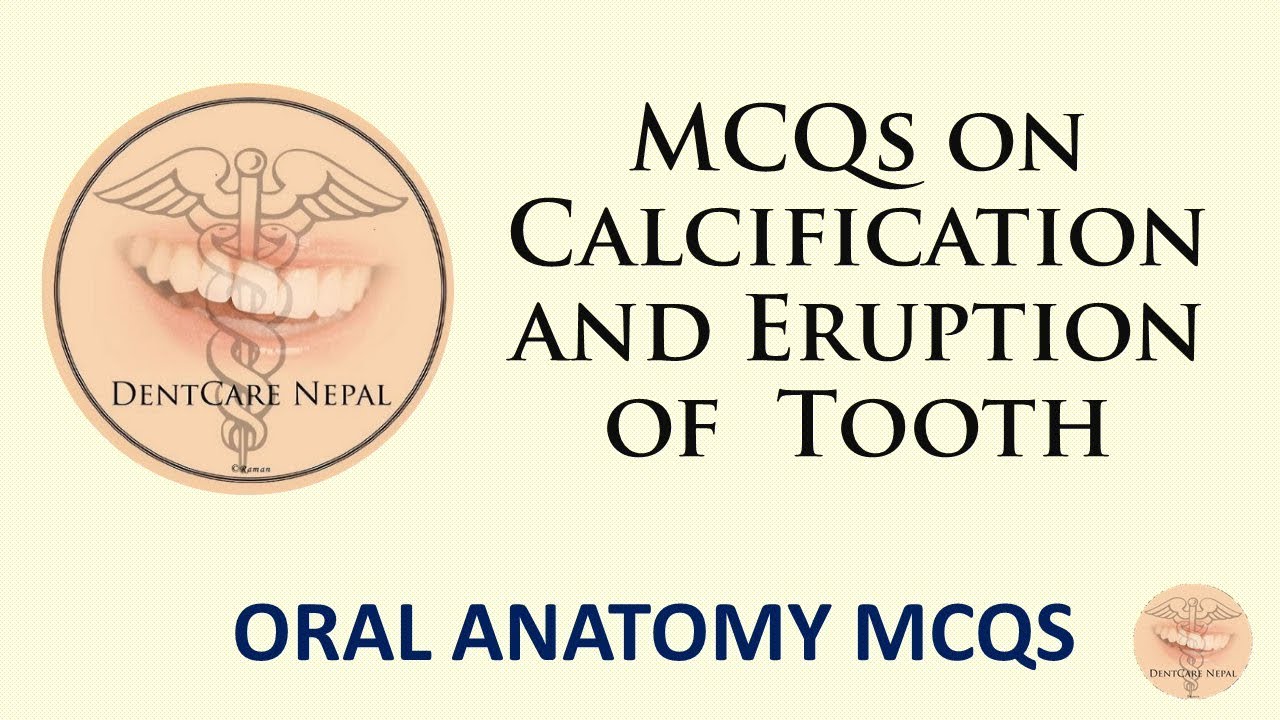 Oral Anatomy MCQs - Calcification and Eruption of Tooth - Dental MCQs - YouTube
