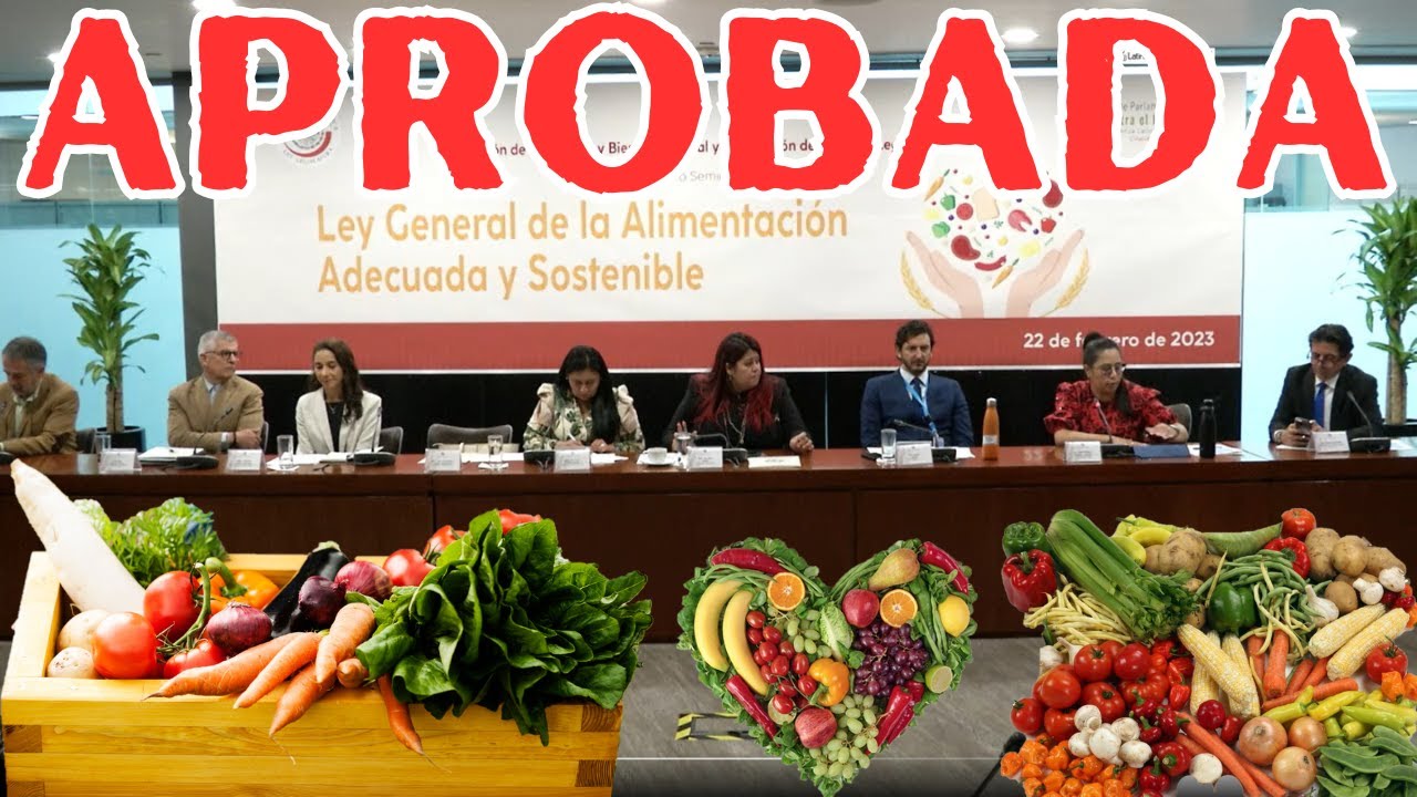 Ley General de Alimentación Adecuada es aprobada en la cámara de ...