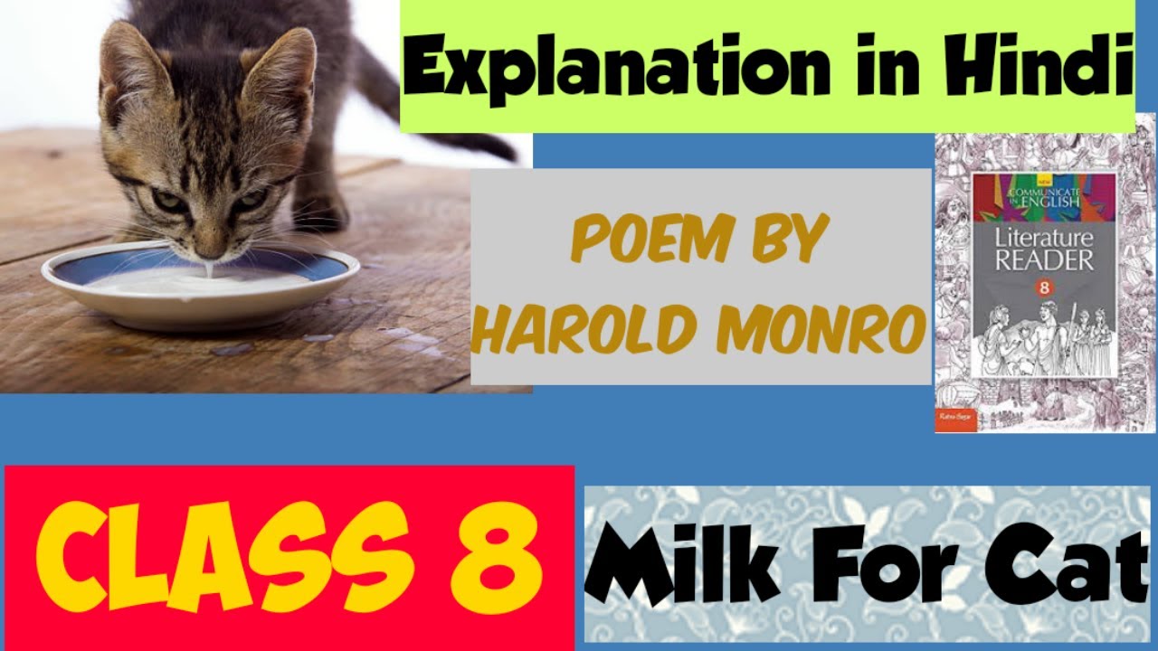 Explanation of Milk For Cat poem by Harold Monro| Class 8 Poem Milk For ...