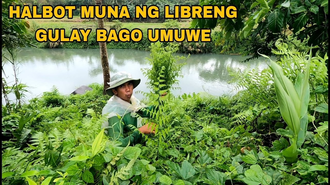 hablot muna ng libreng gulay bago umuwe - YouTube