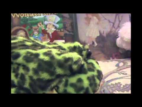 Webkinz: The Chat #2 - YouTube
