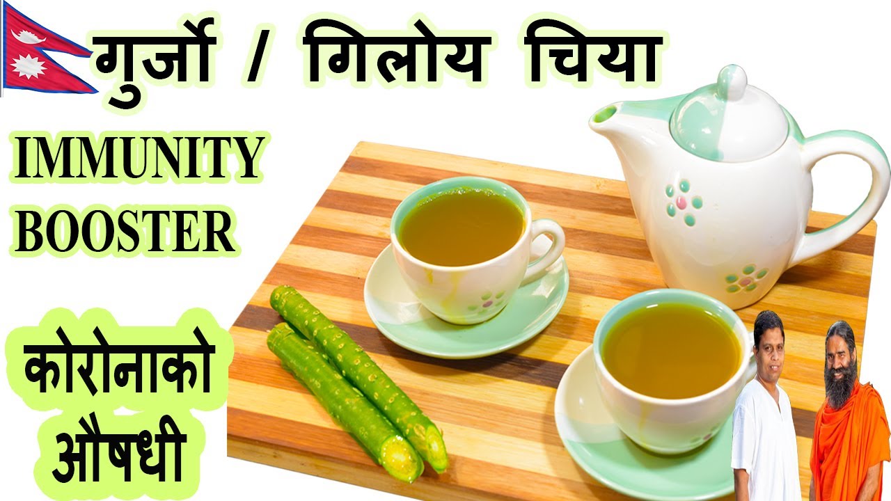 Gurjo || Giloy || Gurjo Giloy Tea || Immunity Power कसरी बढाउने ...