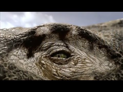 Walking with Dinosaurs - Demise of a Liopleurodon