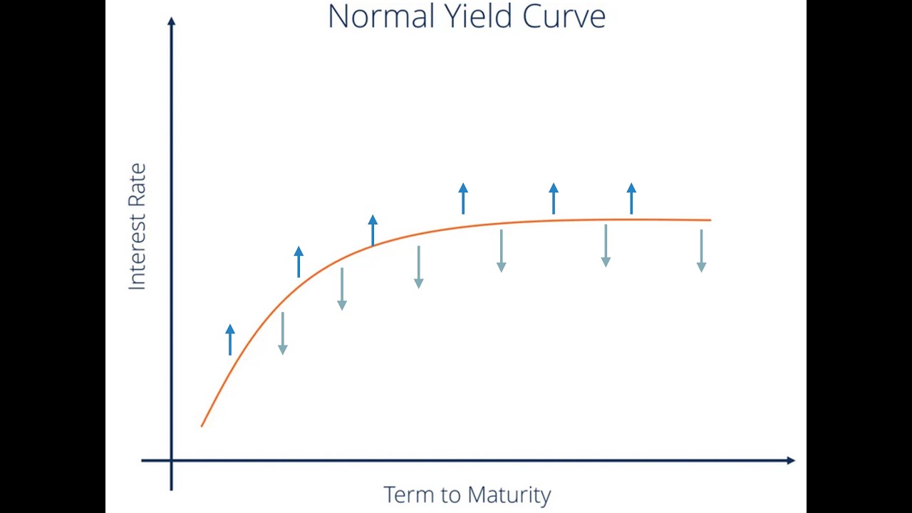 An introduction to Yield Curve Analysis - YouTube