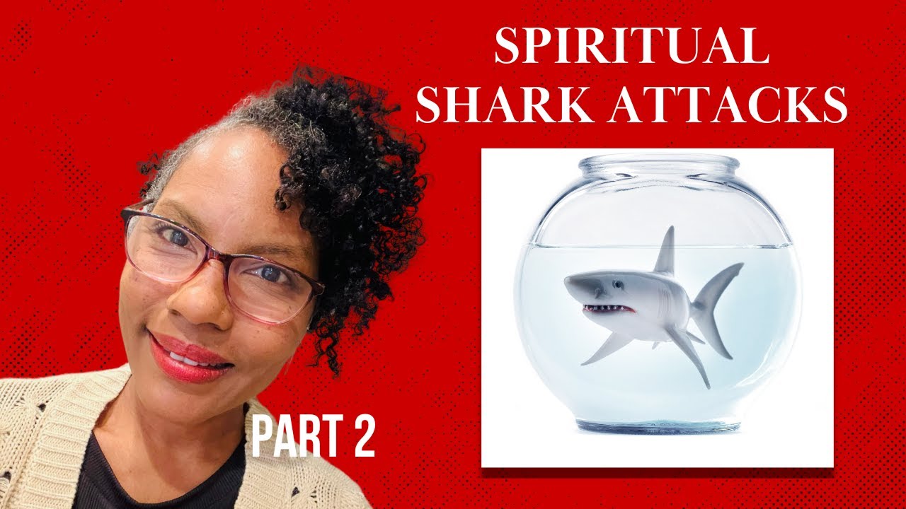 Spiritual Shark Attacks🦈‼️(part 2) #propheticword - YouTube
