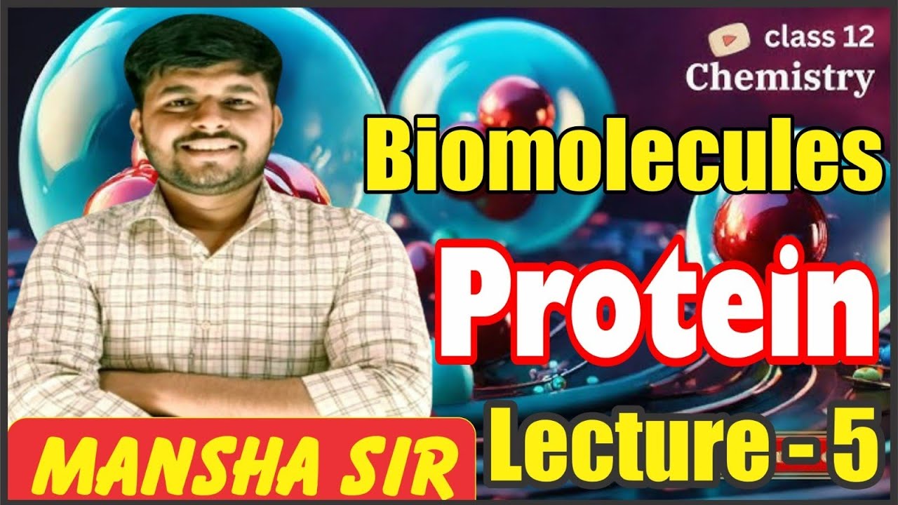 Class 12th Biomolecules,Protein,Amino acid, Peptide linkage,Types of ...