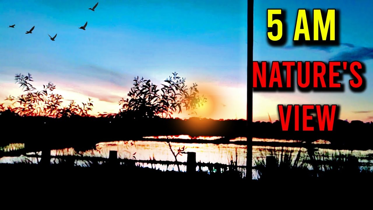 Morning 5 AM nature's beauty😍 || Sun rising || Running and exercise ...