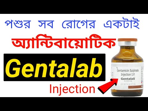 Gentalab Injection use benifits Side-effects in bangla | জেন্টামাইসিন এর উপকারিতা ও ক্ষতিকারক দিক কি